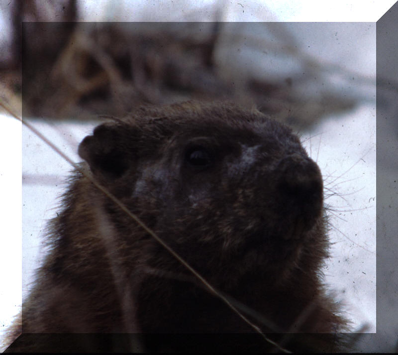 New Page 1 [grumpy02.tripod.com]